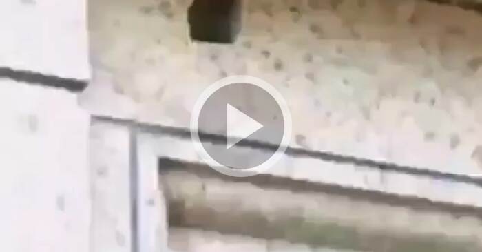 next generation cat security